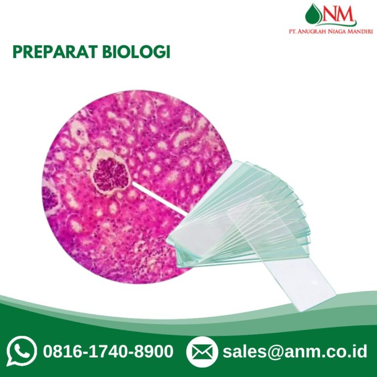 Preparat Biologi Murah PT. ANM: Solusi Efisien untuk Kebutuhan ...